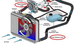 No Pressure In Radiator Hose: 5 Causes & Solutions (New)
